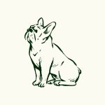 Bouillon Albert – Cuisine française sur le Plateau-Mont-Royal - SORTiRMTL